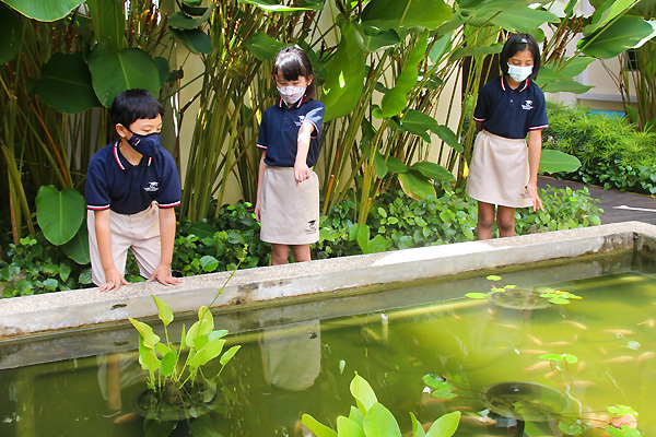 School Based Student Care Centre